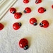 Big Red Ladybug Design Push Pins Set of 8 | Decorative Thumbtacks ...