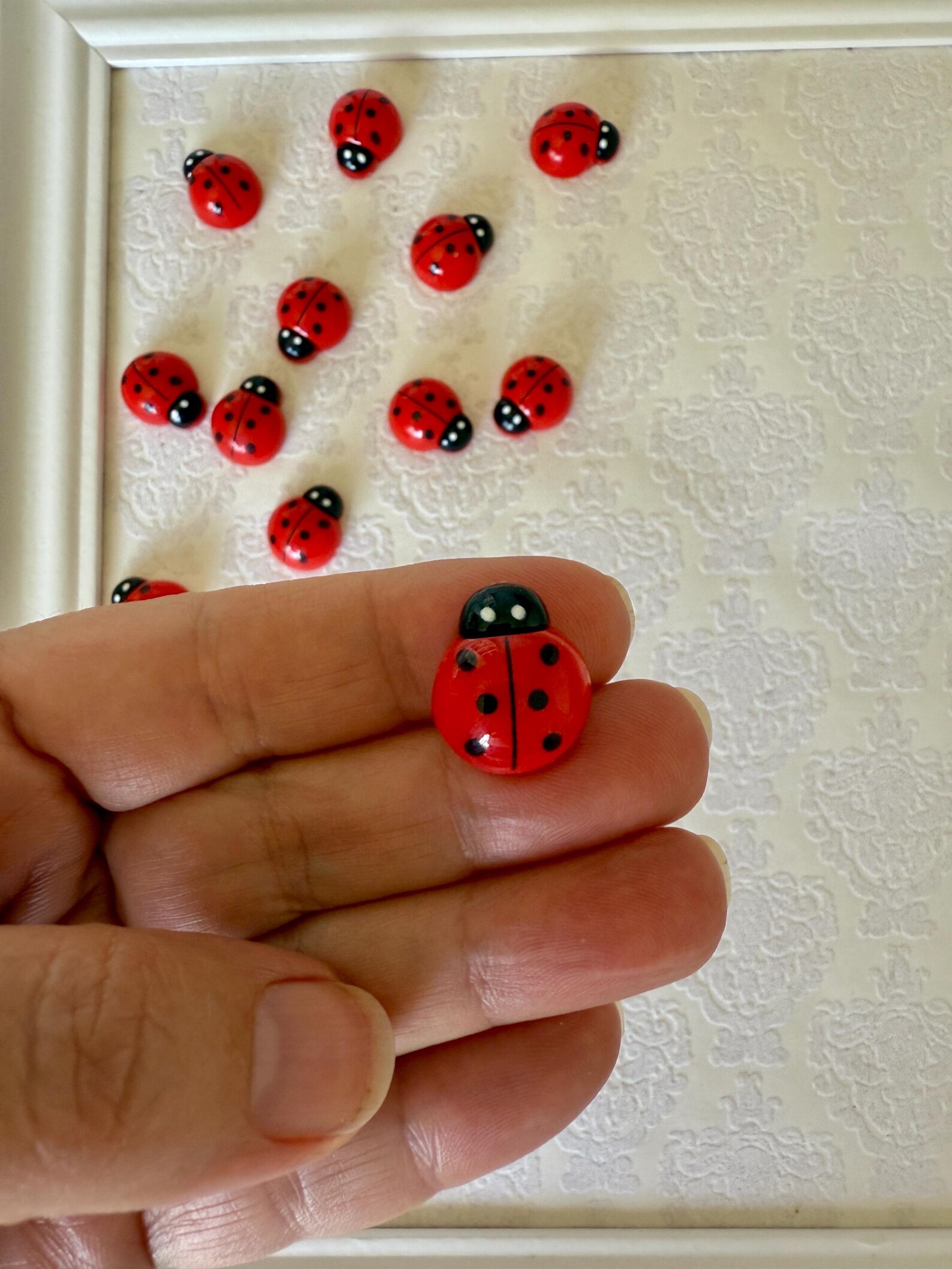 Big Red Ladybug Design Push Pins Set of 8 | Decorative Thumbtacks ...