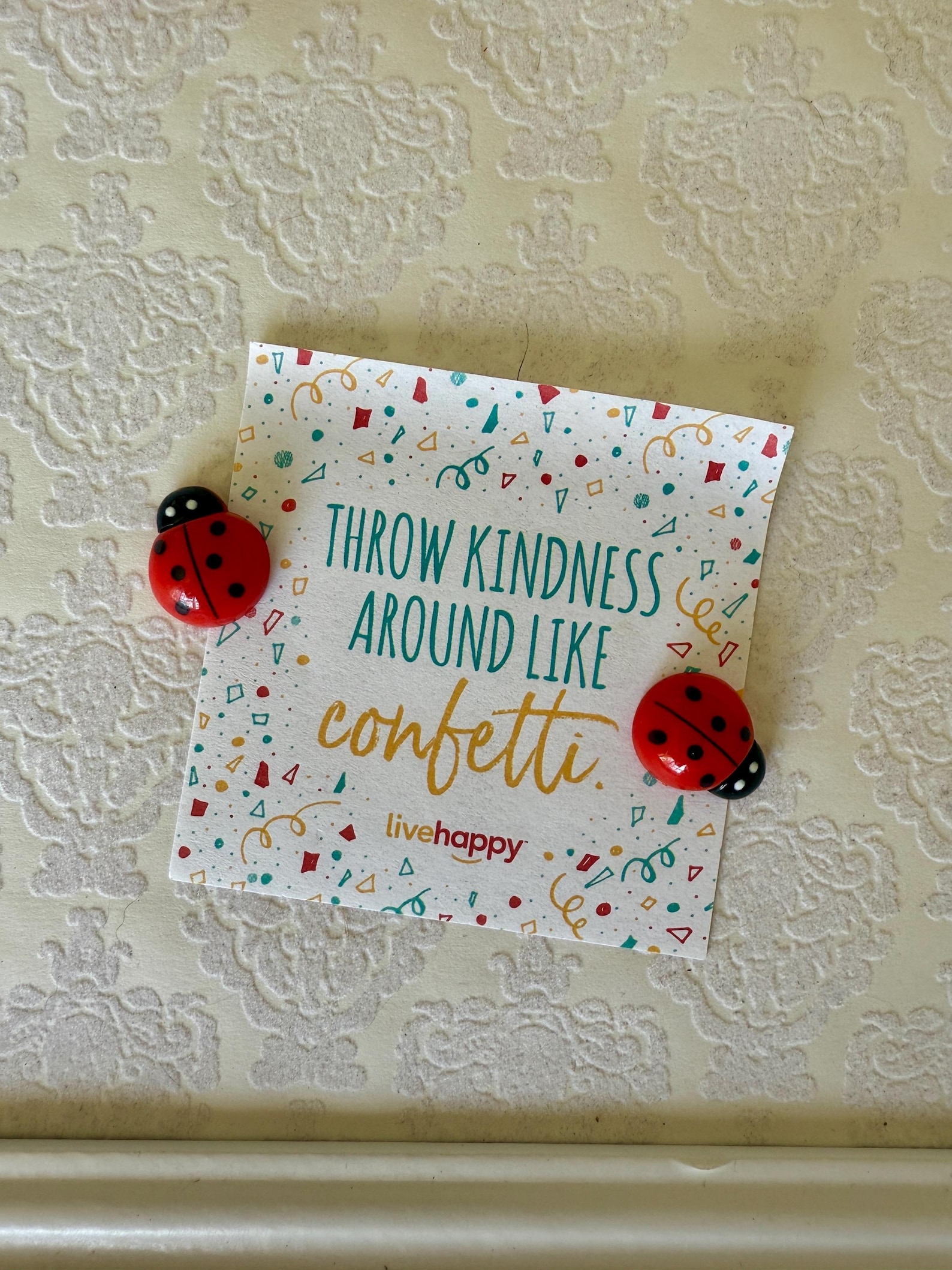 Big Red Ladybug Design Push Pins Set of 8 | Decorative Thumbtacks ...