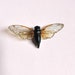 Real Dried Cicada-wings Open- Brood XIII(13) 17 Year Magicicada Genus ...