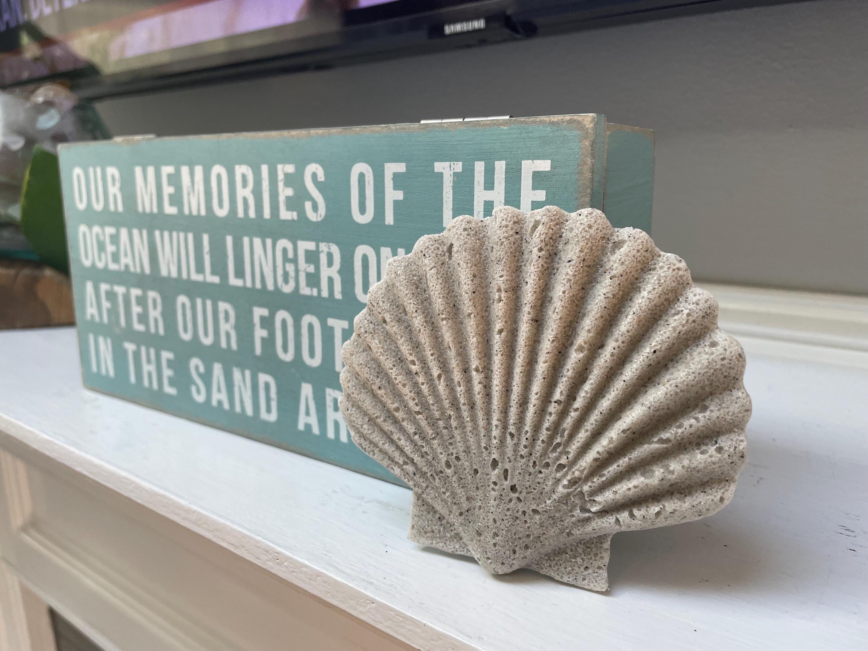 Handmade Seashell Sand Art. Perfect Unique Desk or Mantel Decor Gift ...