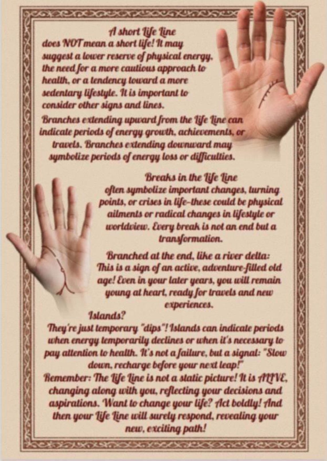 Beginner Palm Reading Book | Digital Palmistry Guide | Occult Ebook - Etsy
