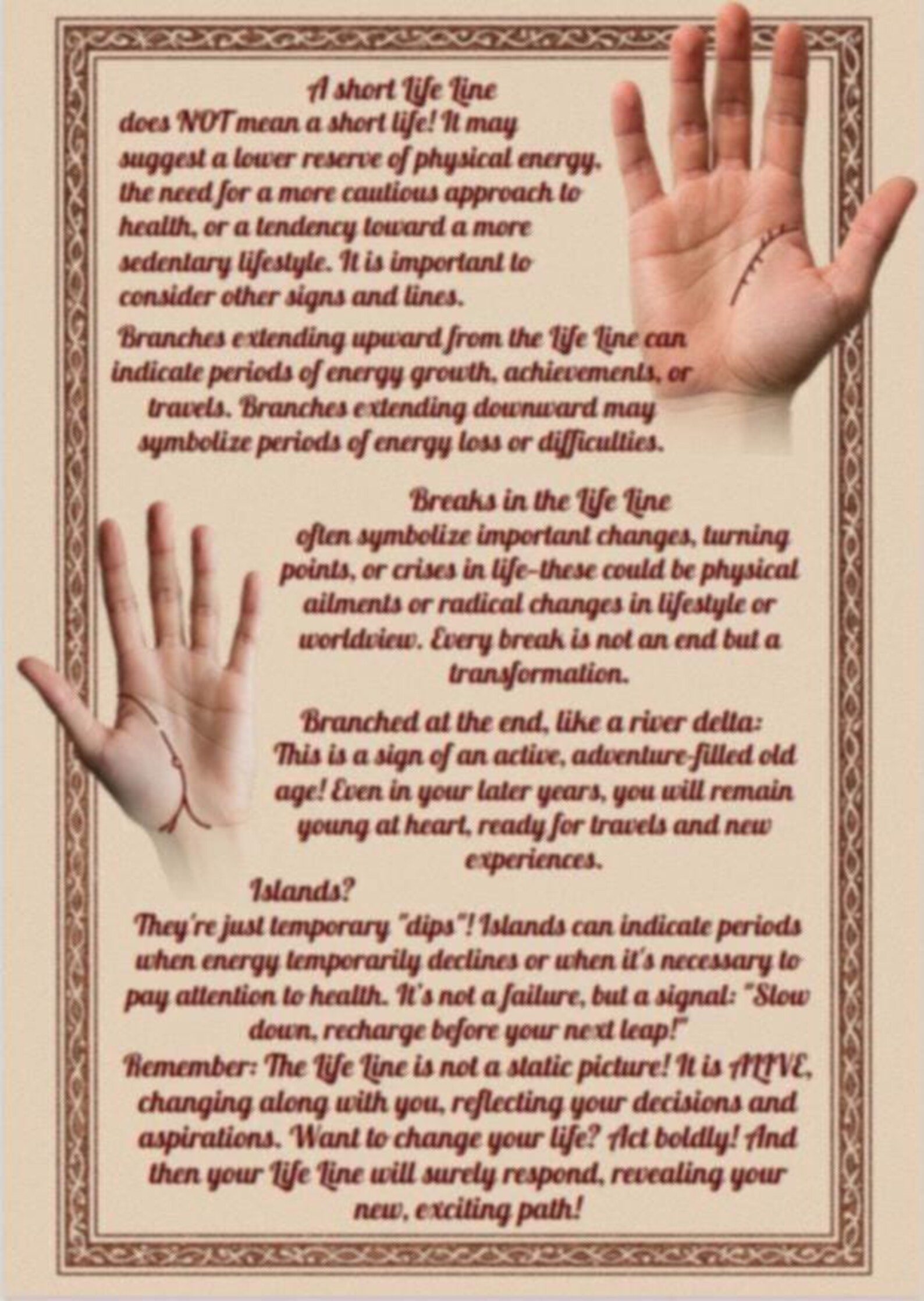 Beginner Palm Reading Book | Digital Palmistry Guide | Occult Ebook - Etsy
