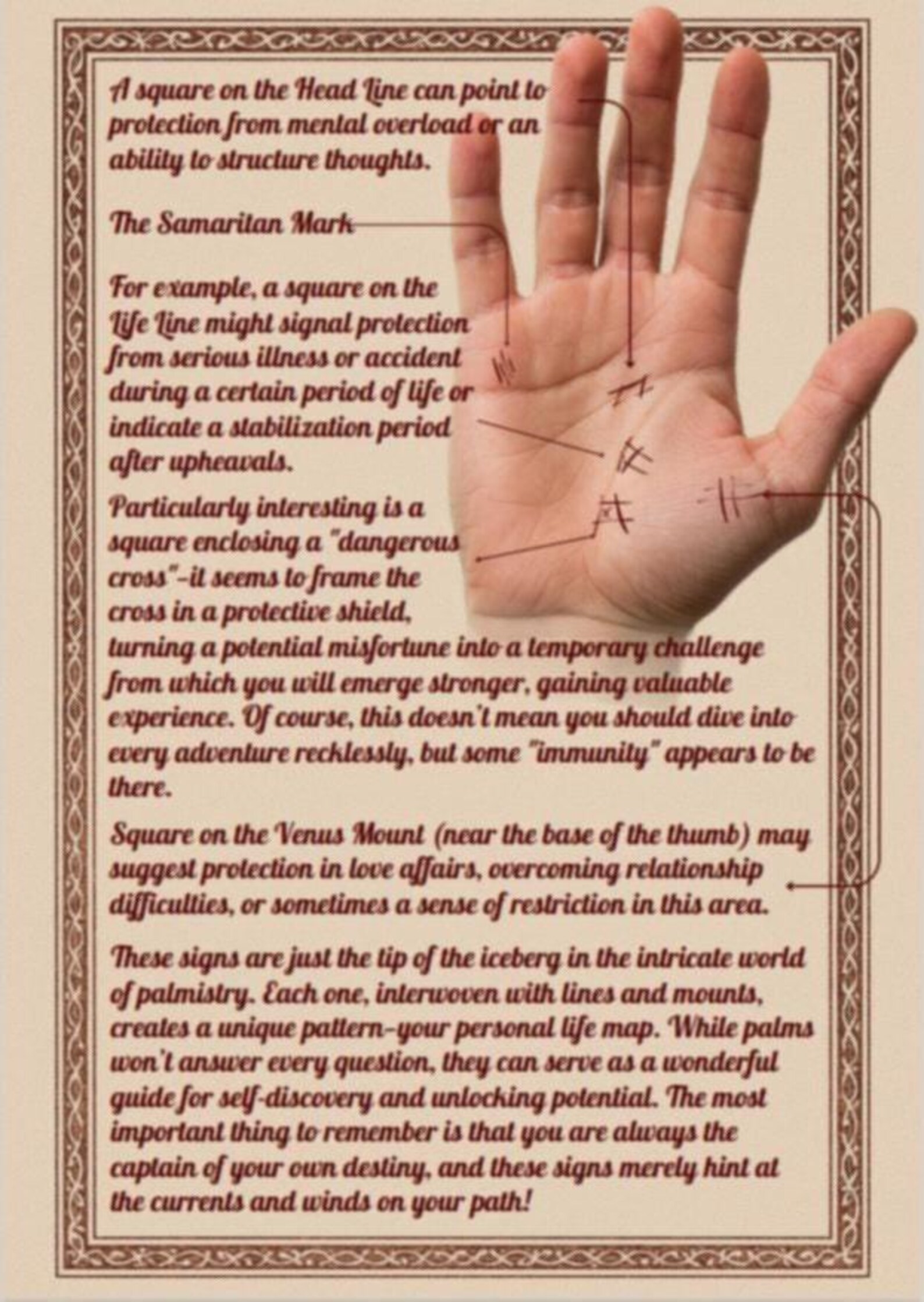 Beginner Palm Reading Book | Digital Palmistry Guide | Occult Ebook - Etsy