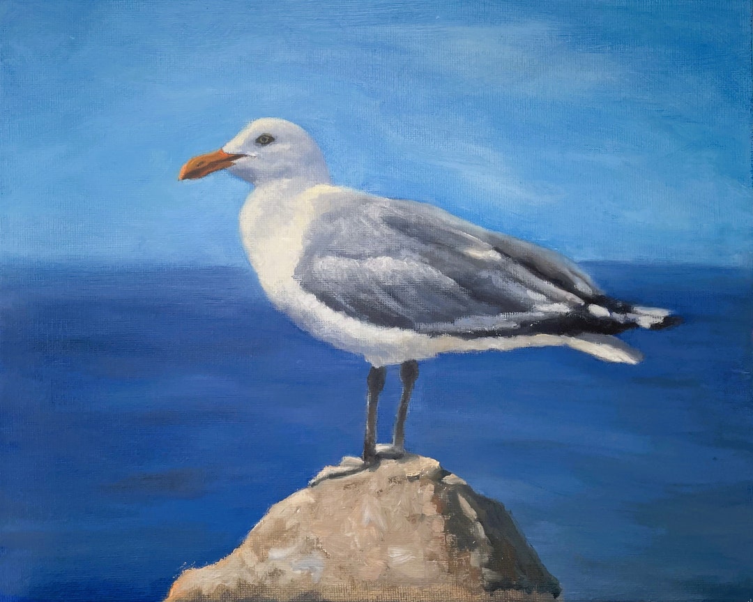 Original Oil Painting: Seagull, 7x9 Inches, Black Frame, Realistic ...