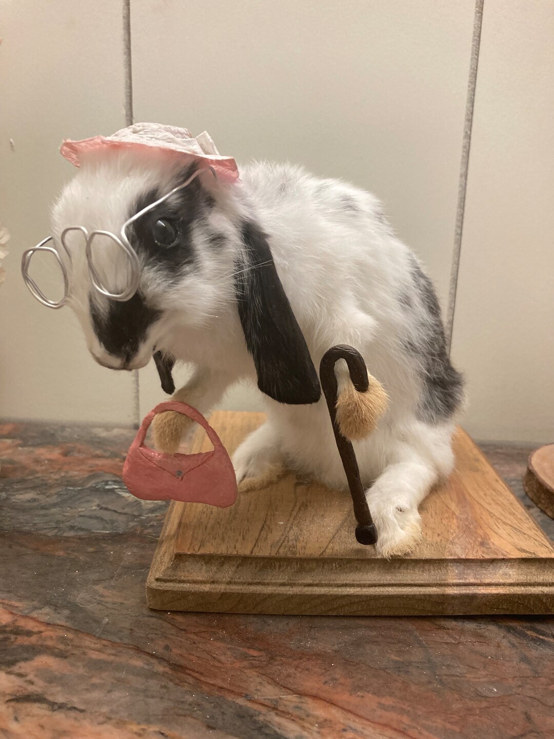 Gladys the Granny Bunny Taxidermy Piece - Etsy