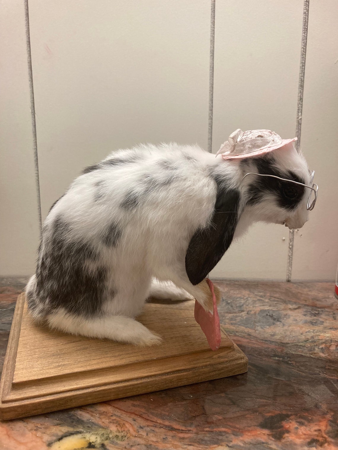 Gladys the Granny Bunny Taxidermy Piece - Etsy