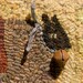 Wool Witch Rug Hooking Pattern - Pdf/download - From Notforgotten Farm ...