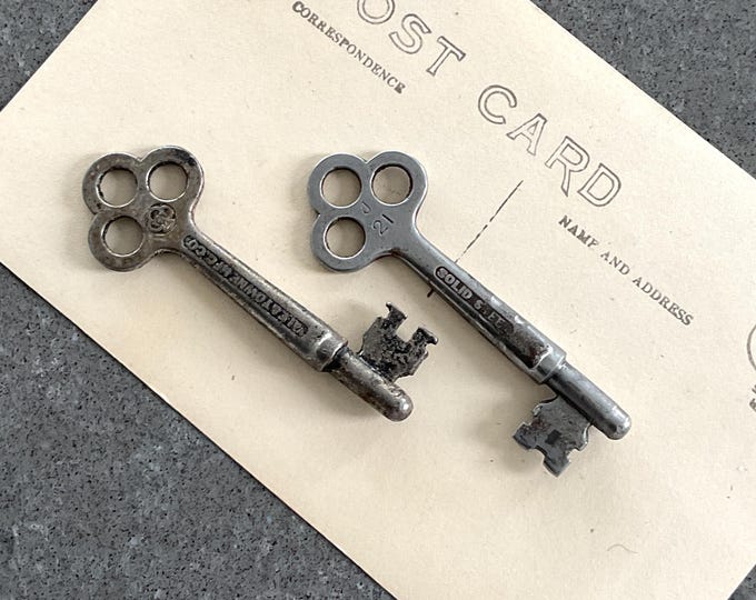 Yale and Towne Manufacturing Steel Silver Vintage Skeleton Keys ...