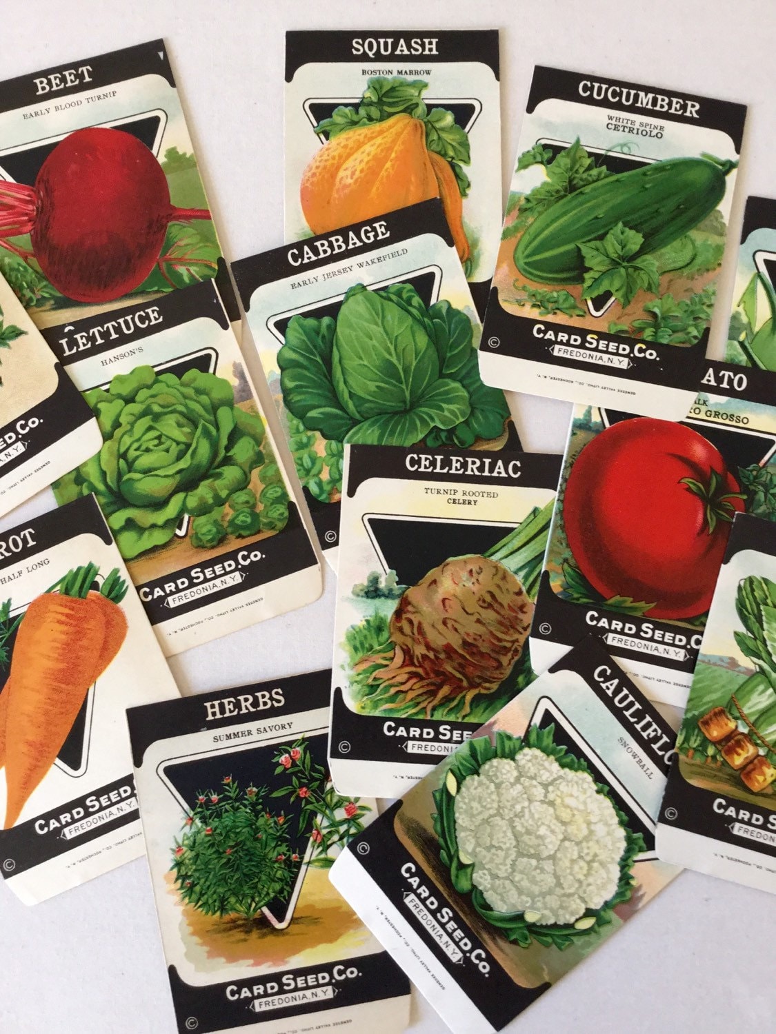 Vintage Seed Package Vegetable Herb Lithograph Packets Set of - Etsy