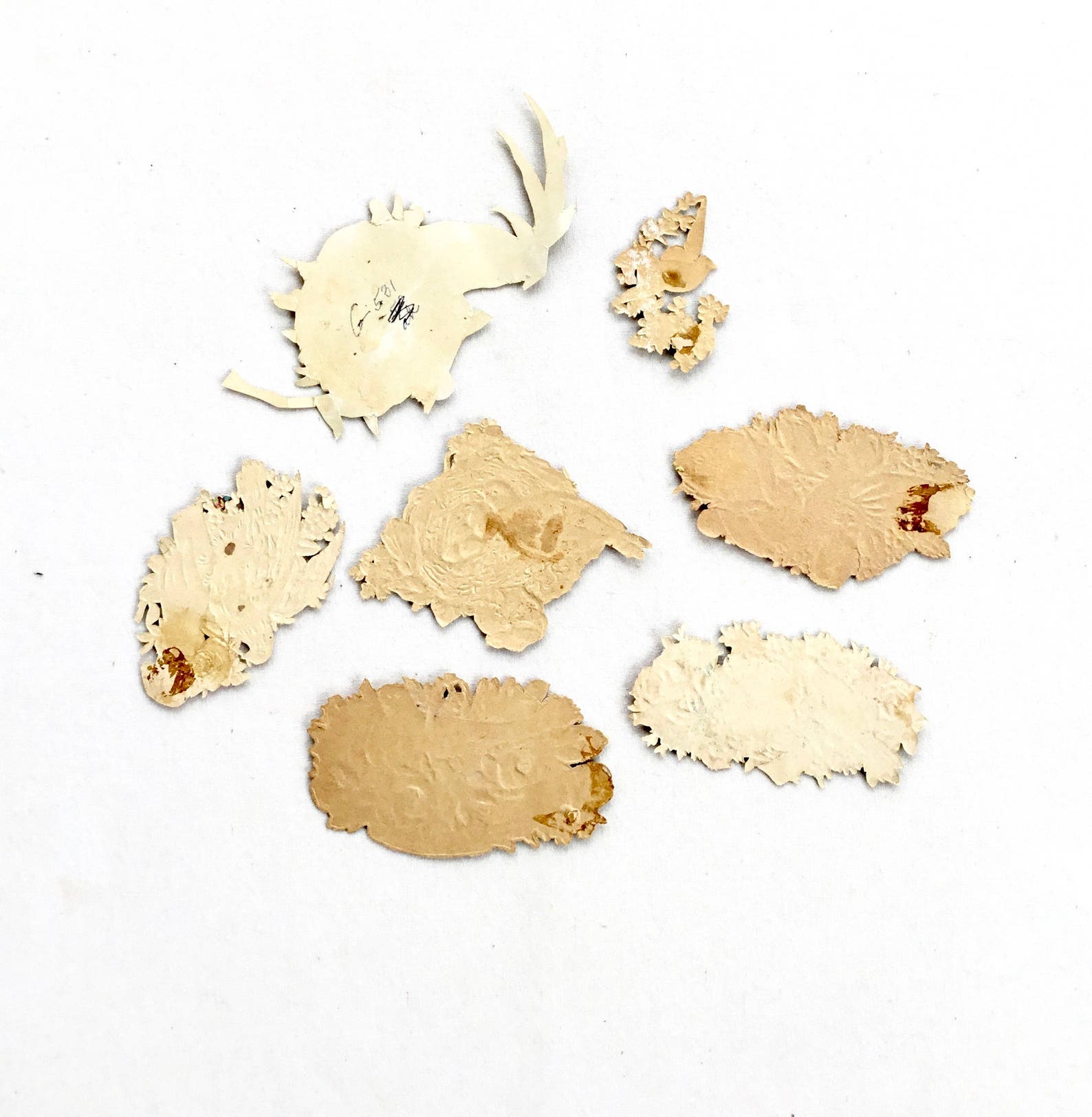 Die Cut Calling Card Embossed Wedding Lithograph Bird Vintage | Etsy