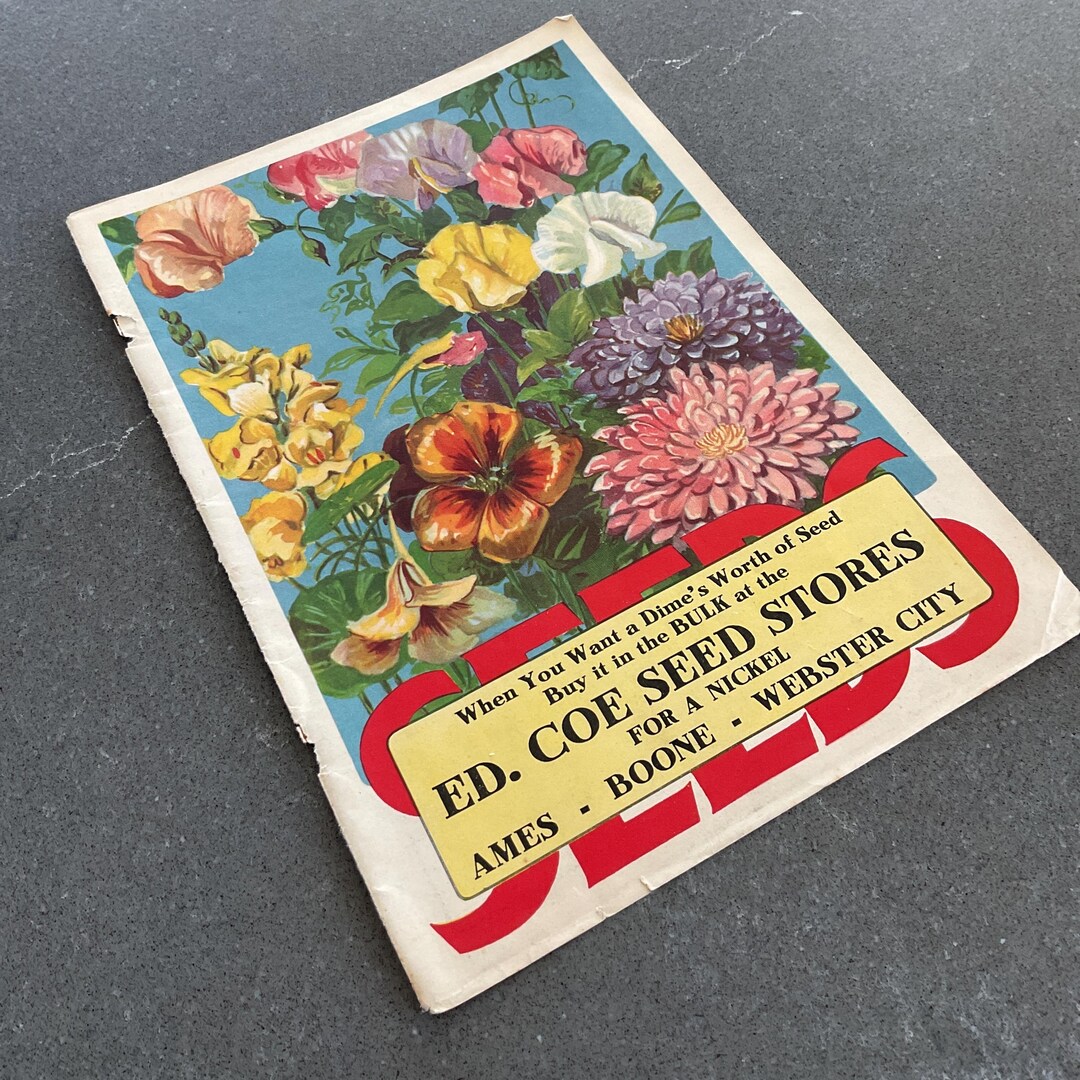 1910 Coe Seed Stores Vintage Catalog Cover Lithograph Botanical Print ...