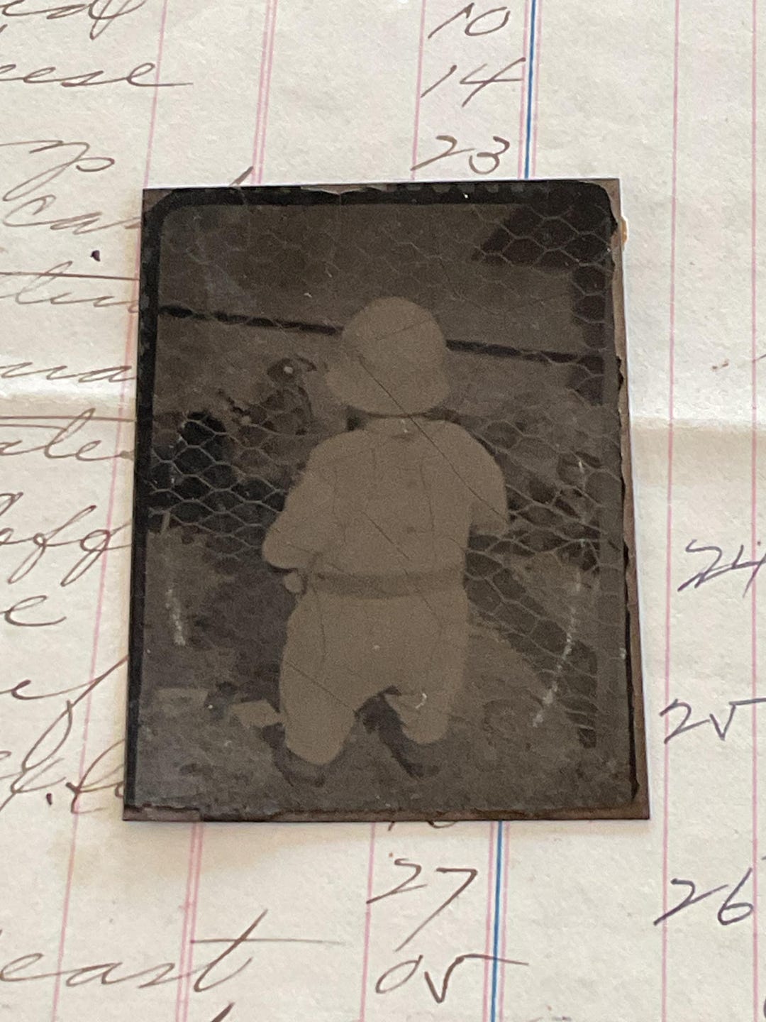 Tin Type Chickens Baby Child by Chicken Pen Vintage Photo Ferrotype ...