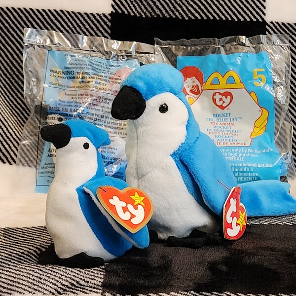 Baby Blue Jay - Etsy