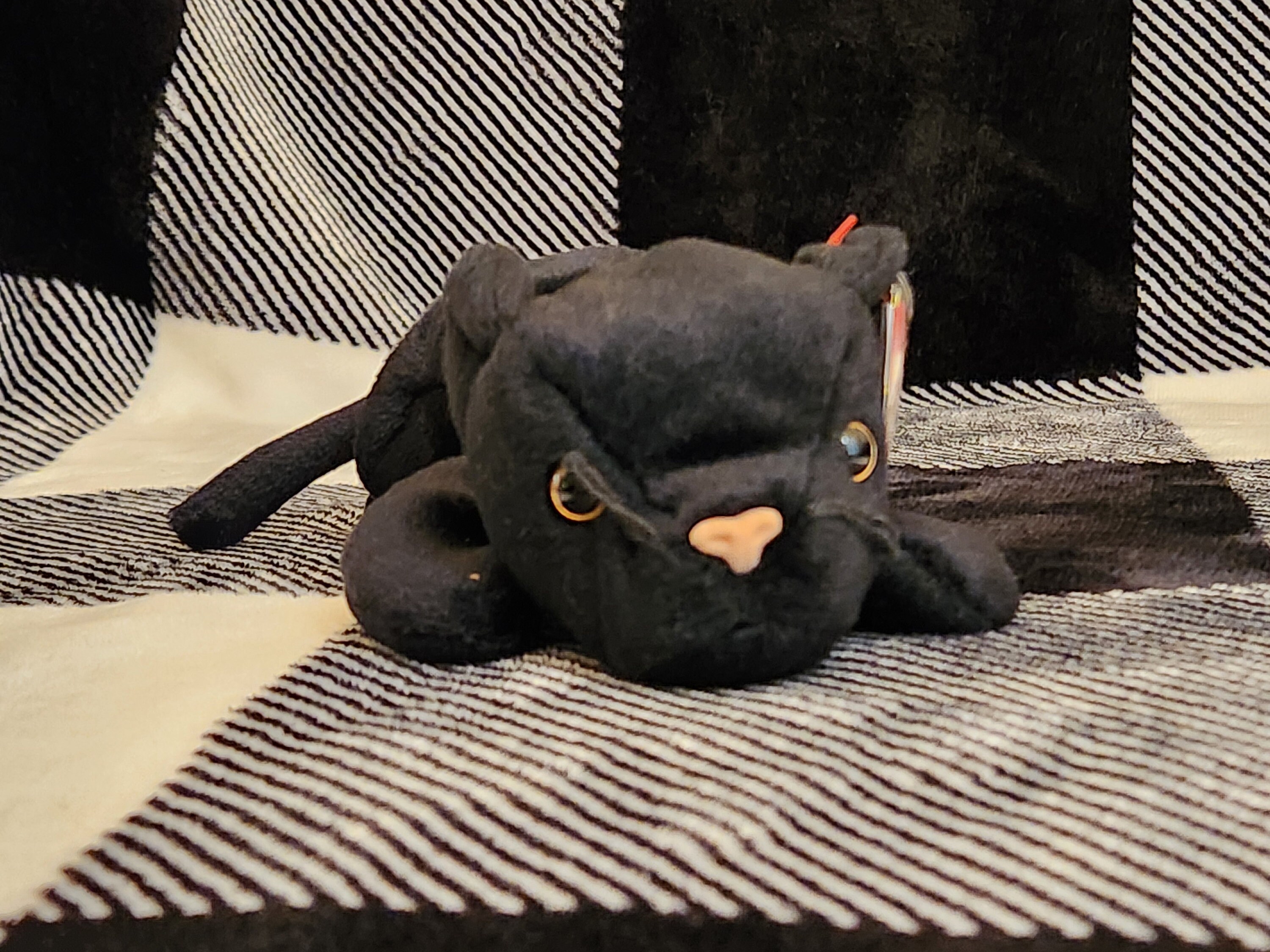 Beanie Babies Wild Cats Plus Ringo Including India the Tiger Blizzard ...