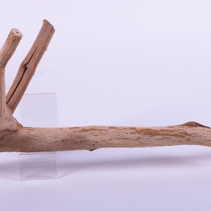 Grapewood Branch - Etsy