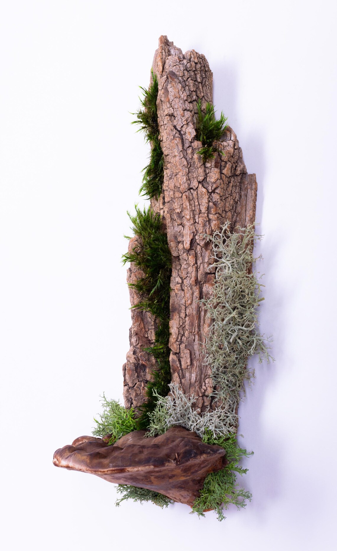 Floating Forest Art | Moss on Bark | Natural Wall Decor | Eco Friendly ...
