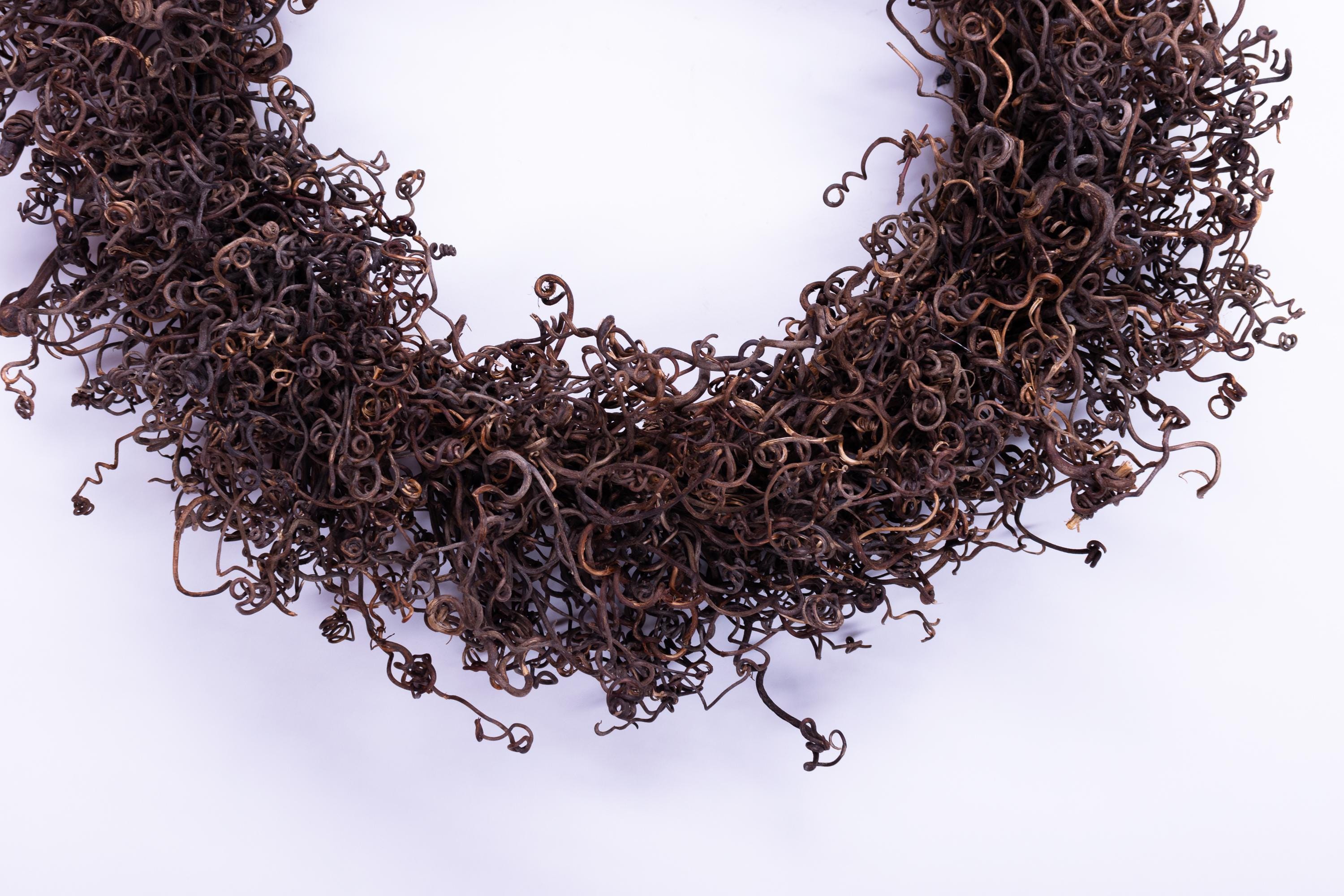 Natural Curly Vine Wreath Base | Rustic Grapevine Wreath Form | DIY ...