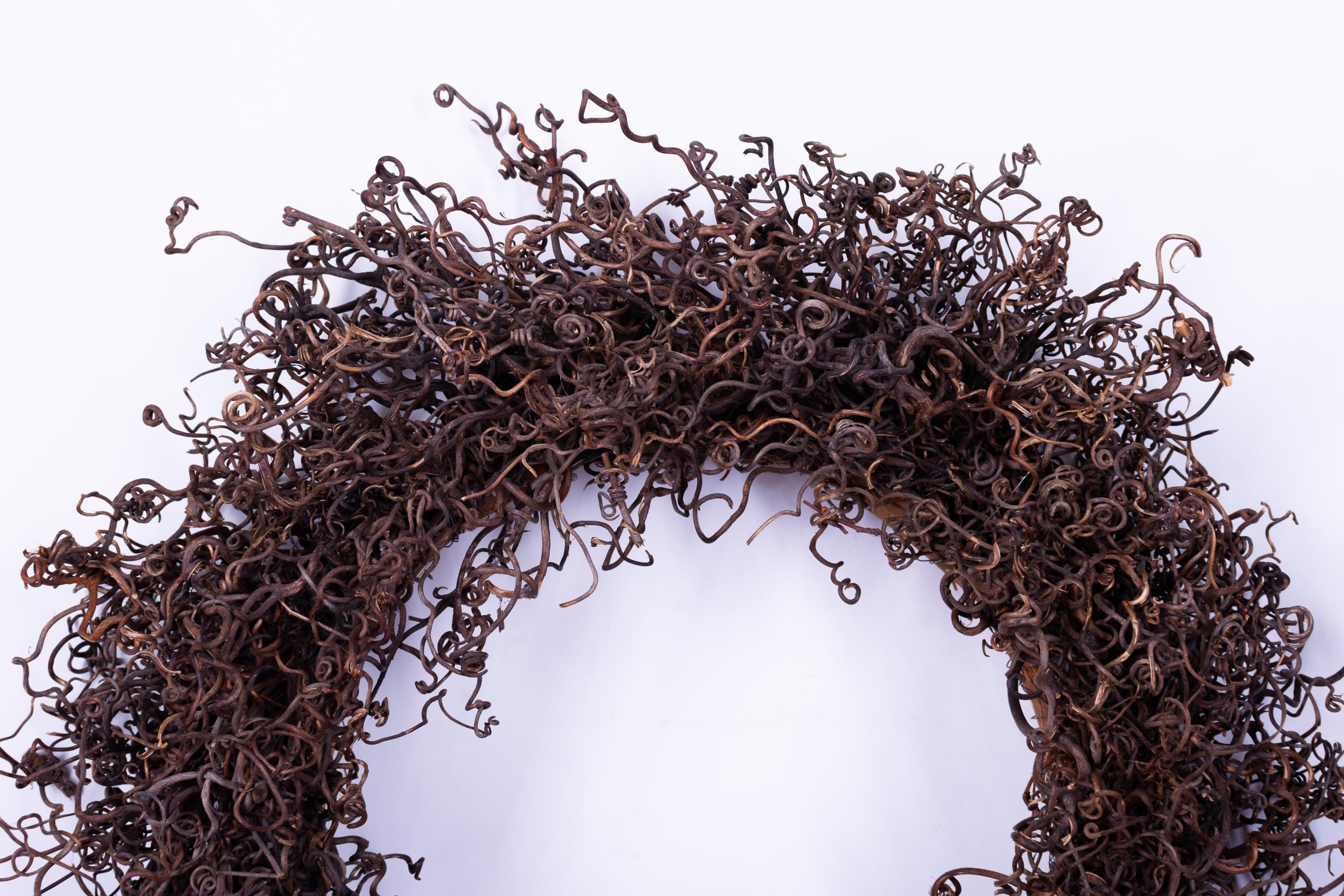 Natural Curly Vine Wreath Base | Rustic Grapevine Wreath Form | DIY ...