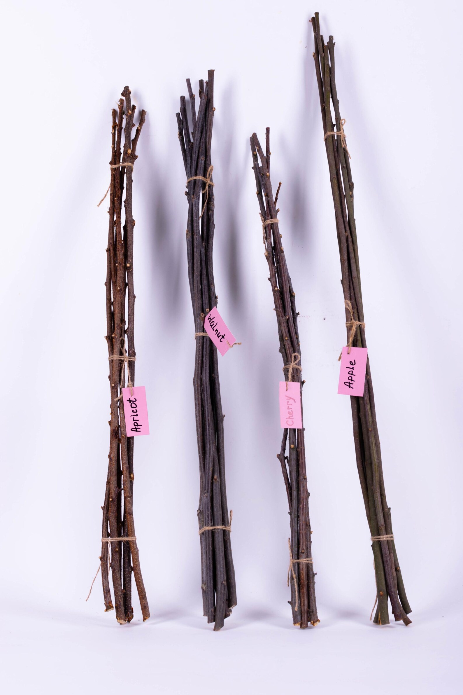 Branch | Decorative Branches Room | Wood Driftwood | Decoration Unique ...