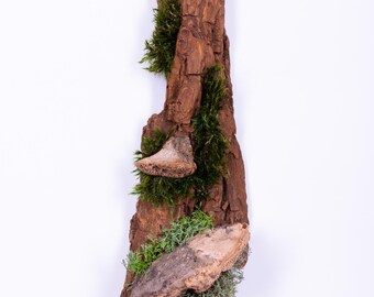 Floating Forest Art Moss on Cork Bark Natural Wall Decor Eco Friendly ...
