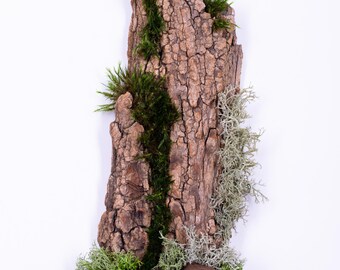 Floating Forest Art | Moss on Bark | Natural Wall Decor | Eco Friendly ...
