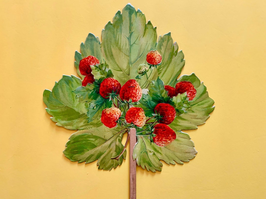 Vintage Advertising Paper Hand Fan Embossed Strawberries H M Burton ...
