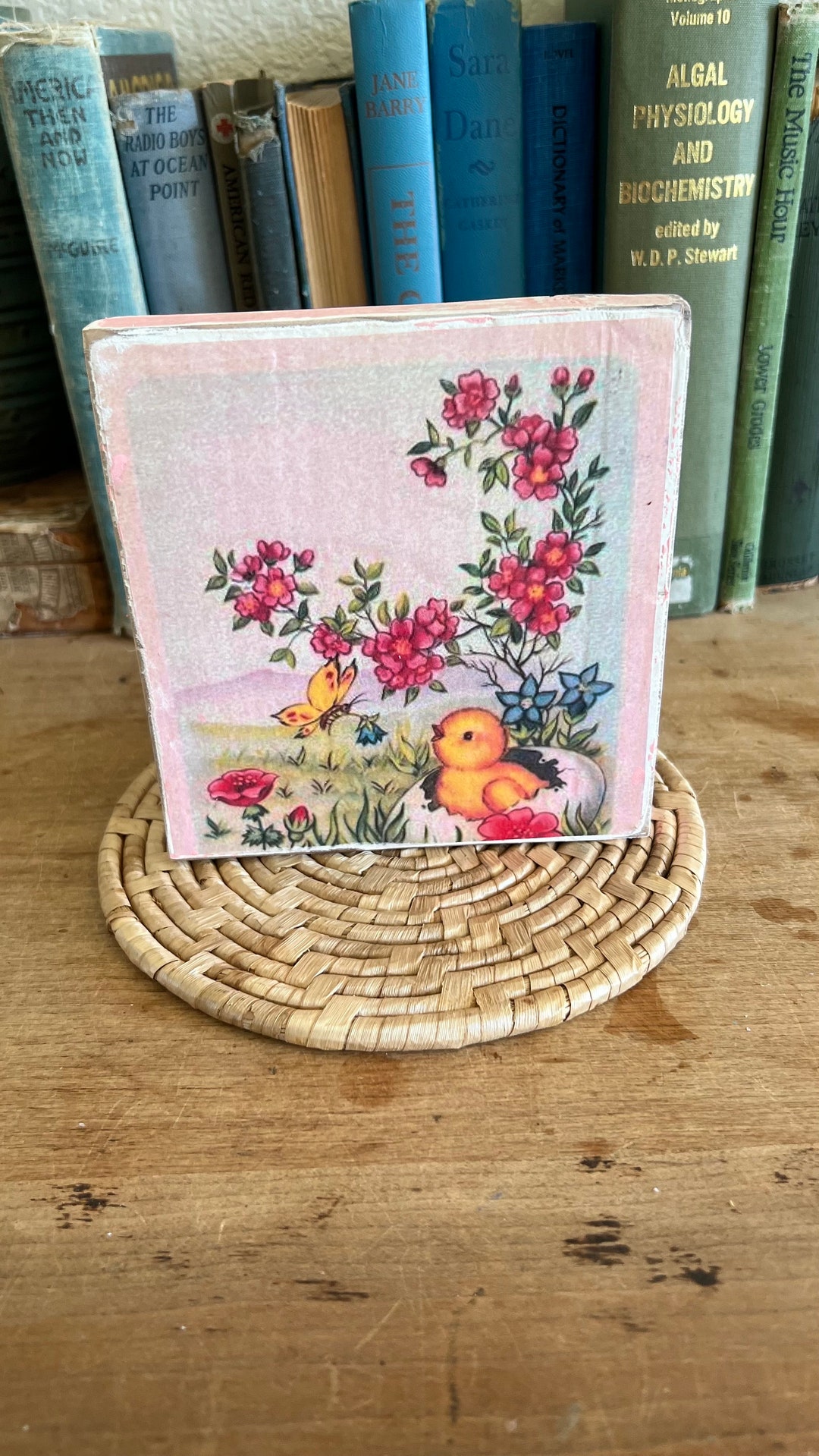 Vintage Chickie Butterfly Block Sign Wood Rustic Tiered Tray Cottage ...