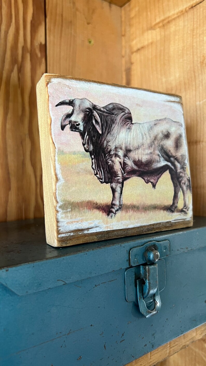 Vintage Cow Art Block: Rustic Farmhouse Tiered Tray Decor - Etsy