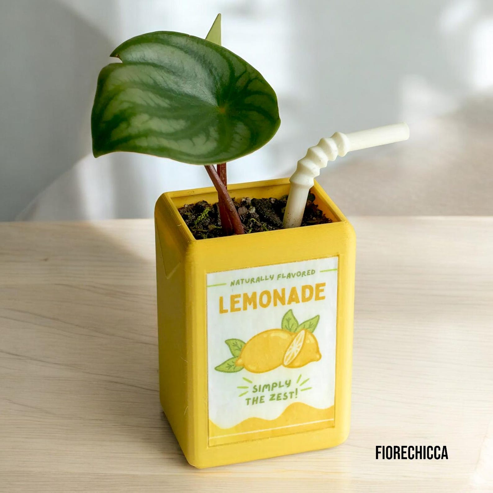 Unique Small Juice Plant Pot, Fun Plant Pot, Lemonade Planter, Original ...