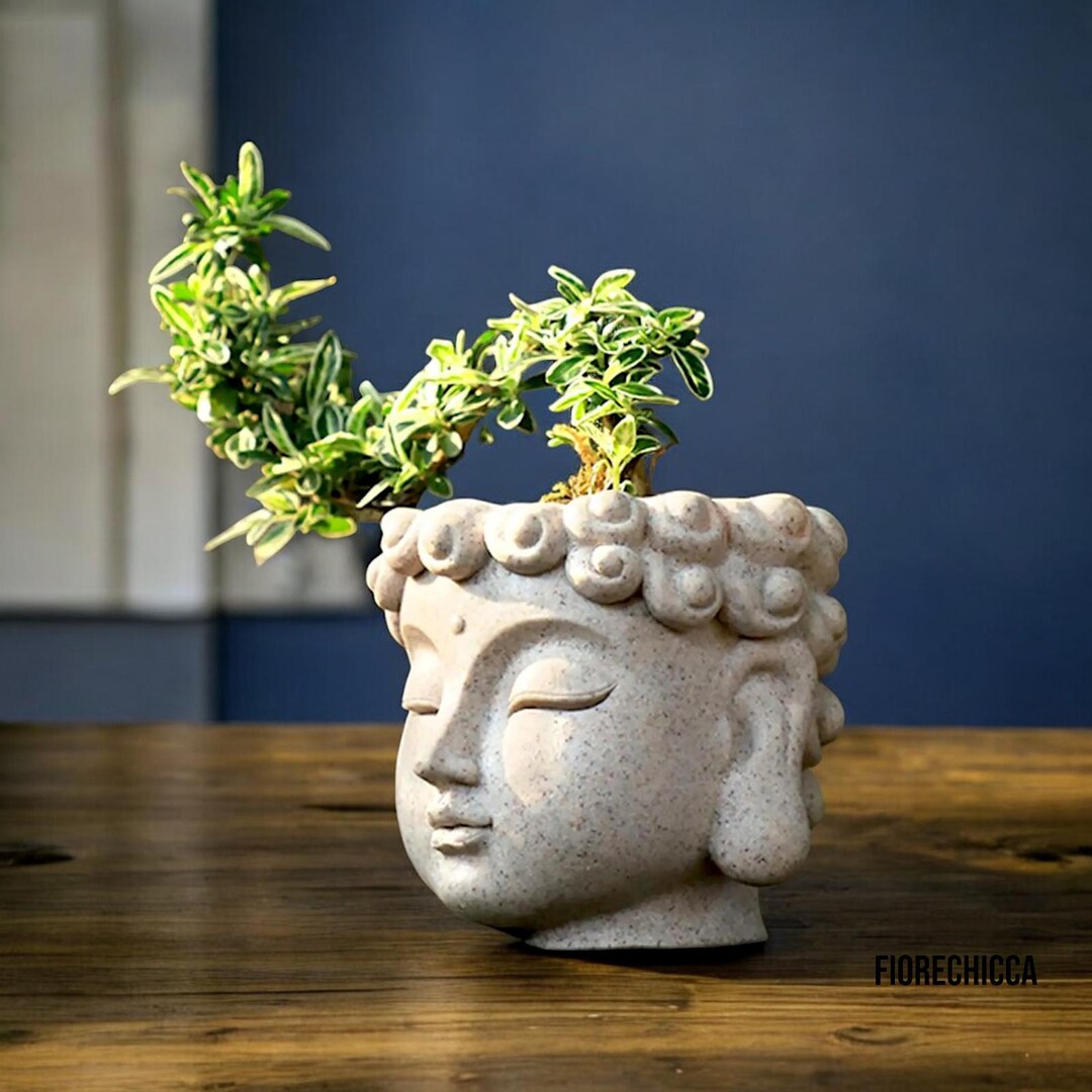 Buddha Face Planter, Unique Indoor Pot, Spiritual Decor, Zen Garden ...