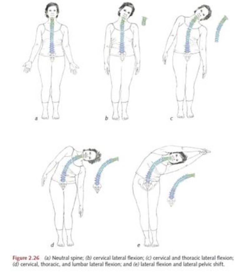 Yoga Anatomy, the Complete Guide to Yin Yoga, Self Development, Yoga ...