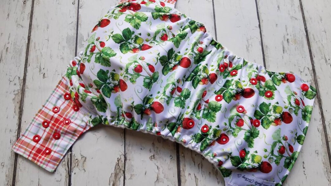 Organic One Size Side Snap All in One Cloth Diaper Ripe on the Vine ...