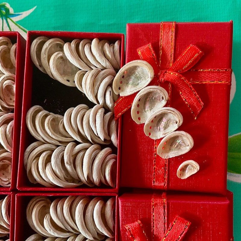 Silver Box Abalone - Etsy