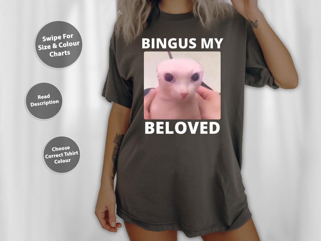 Bald Bingus My Beloved Hairless Sphinx Cat T-shirt, Sweatshirt, Hoodie ...