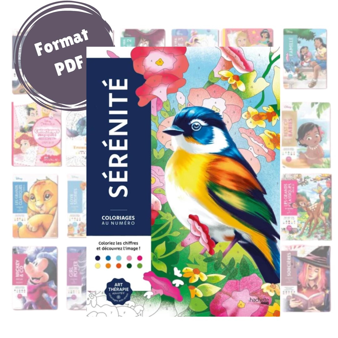Printable Mystery Coloring Book – 100 Pages PDF Book – Zen Activity for ...
