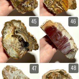 Petrified Wood Slabs | Madagascar Petrified Wood | Super Colorful ...