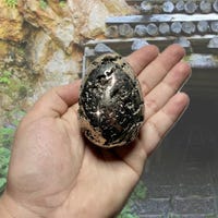 1.2lb Zebra Calcite Skull Crystal | Natural Stone Carved Phantom ...