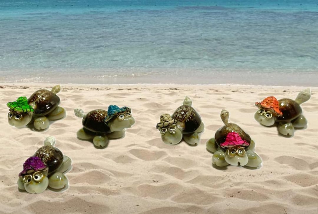 2'' Handmade Seashell Turtles | Cute Turtle Trinket | Turtle With Hat ...