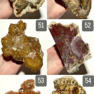 Petrified Wood Slabs | Madagascar Petrified Wood | Super Colorful ...