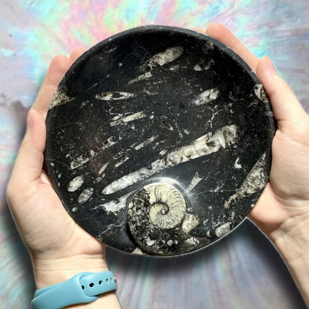 Orthoceras Ammonite Fossil Bowl: Ancient Stone Carving, Crystal Jewelry ...