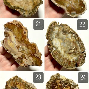 Petrified Wood Slabs | Madagascar Petrified Wood | Super Colorful ...