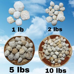 1"- 2" Unbroken Geodes | 2lb, 5lb, & 10lb Lots | 1pc, 5pc, 10pc, 20pc ...