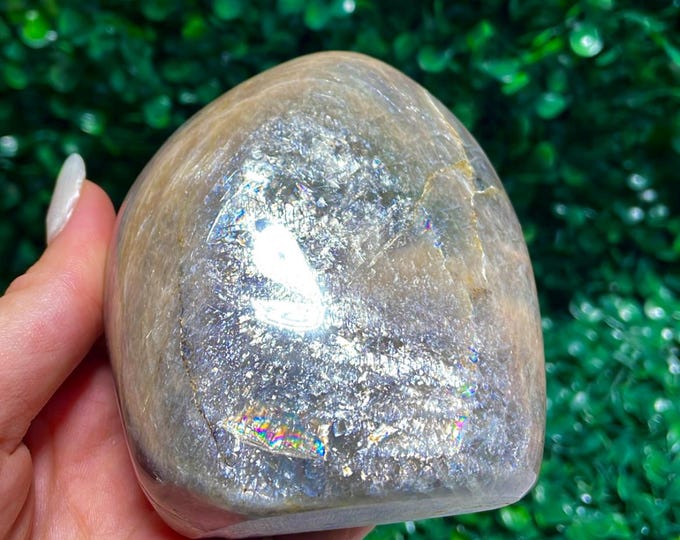 2" Black Moonstone Crystal Freeforms, High Quality Flash, Polished ...