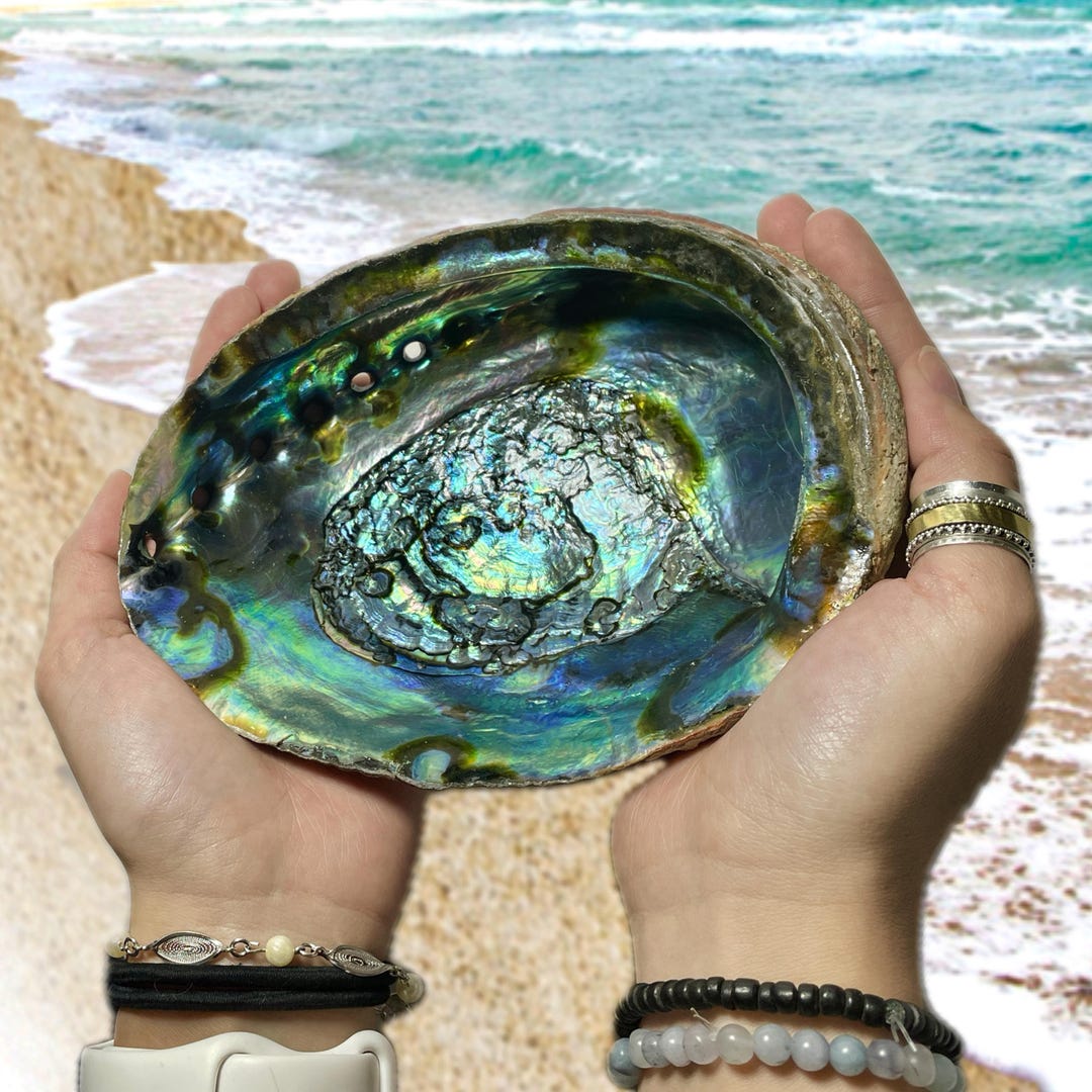 Natural Iridescent Abalone Shells | Smudging Bowl for Sage, Cleansing ...
