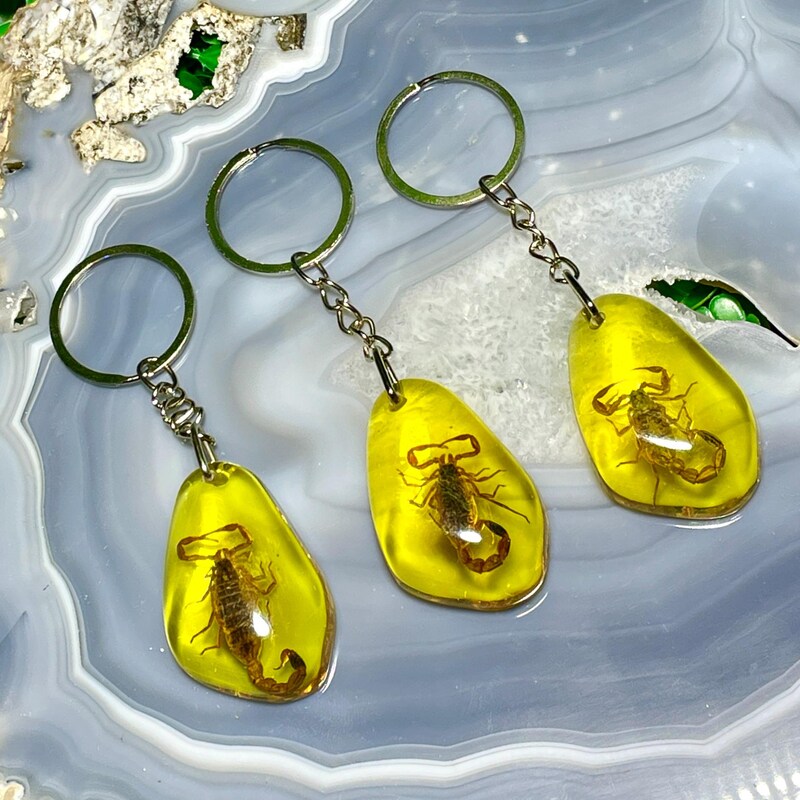 Cool Keychains - Etsy