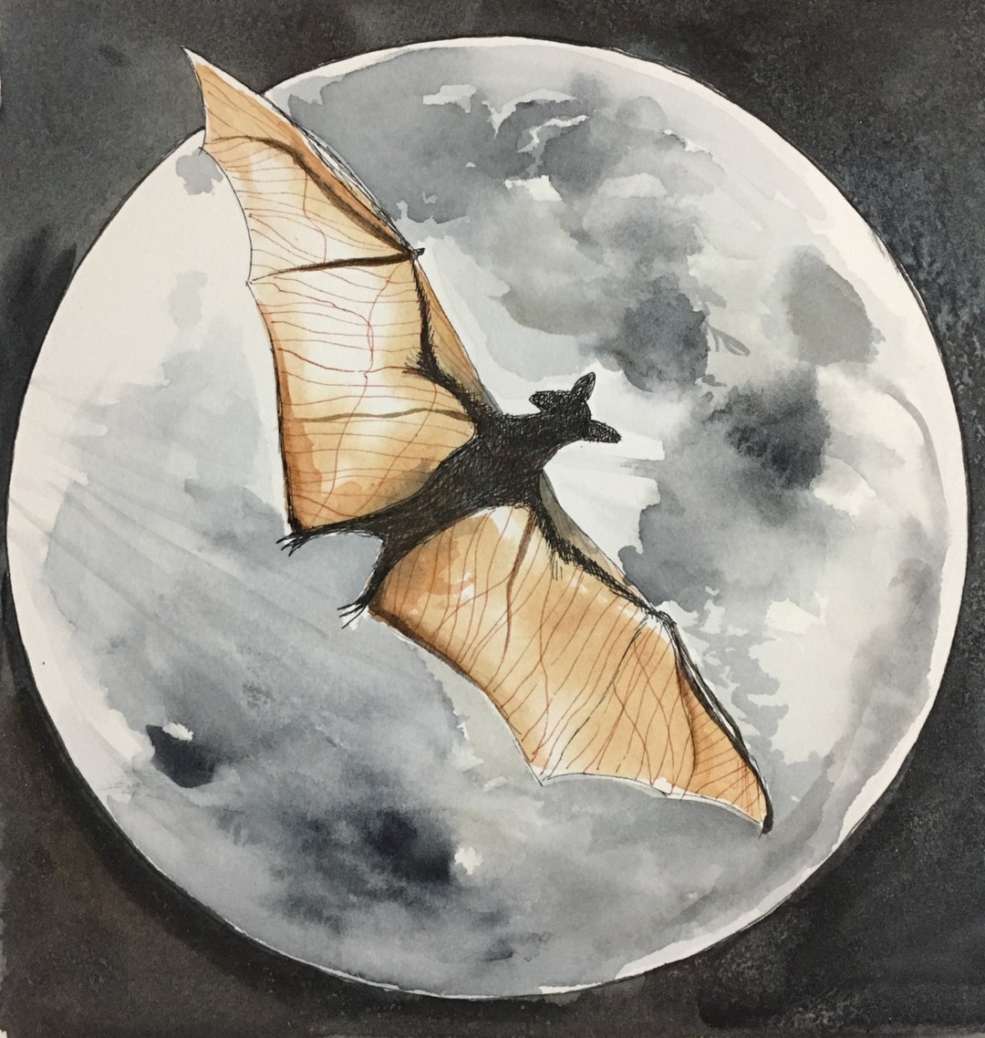 Full Moon Bat // Watercolor Painting, Pen and Ink Drawing Print, Flying ...