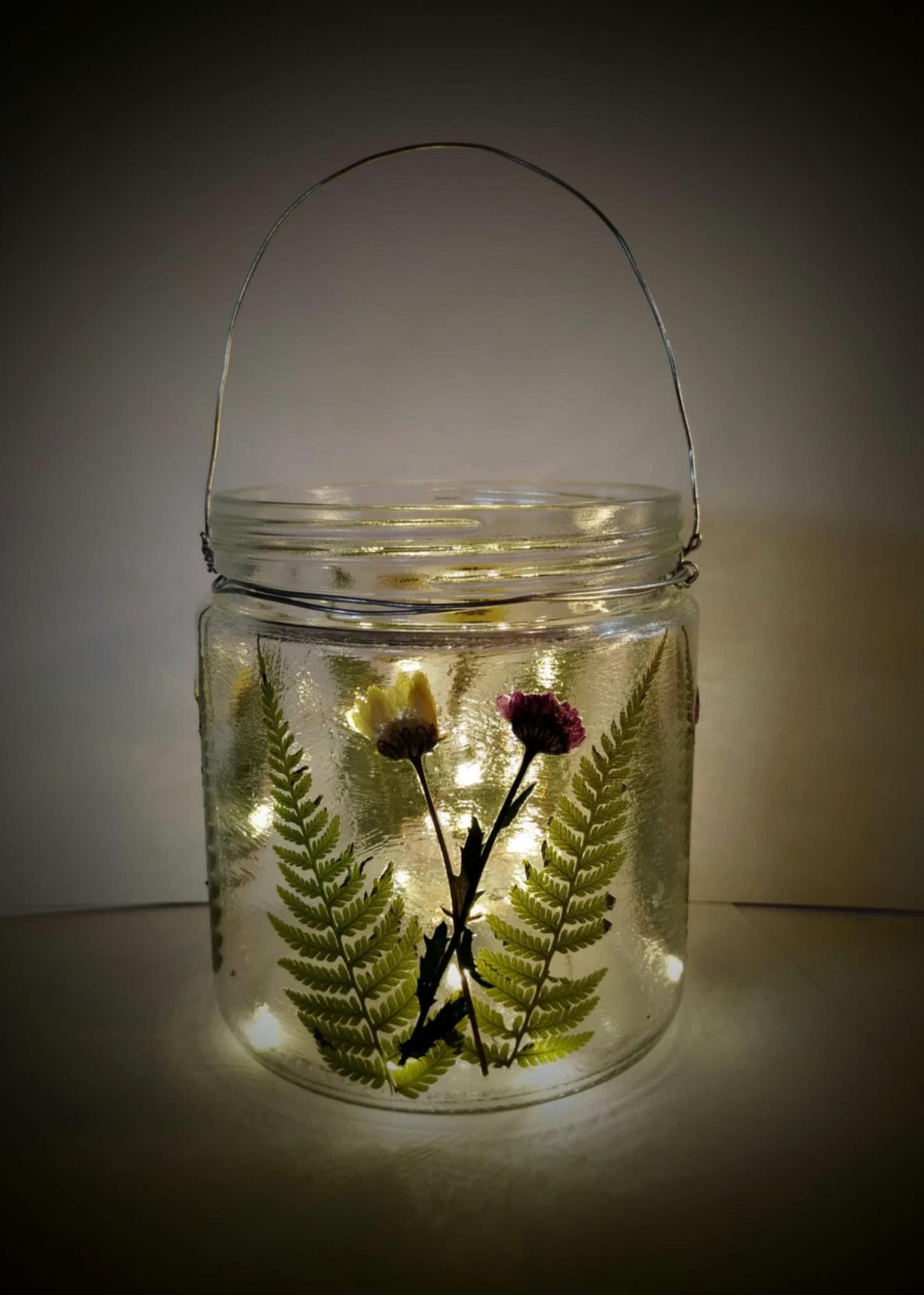 Haning Glass Lighted Lantern With Pressed Ferns and Assortment Flowers ...