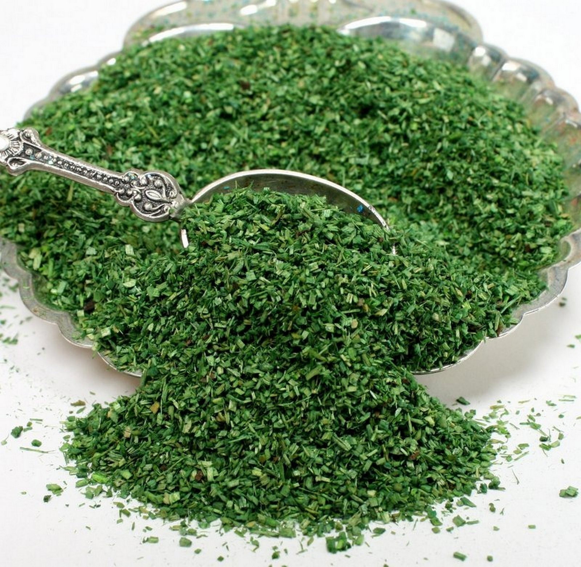 Dark Green Model Landscape Flakes - 2oz Zipbag or 1 Lb Bulk - 311-0741 ...