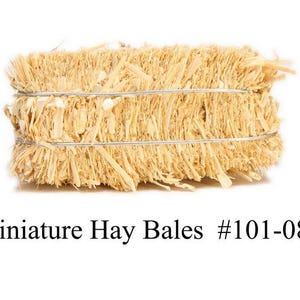 Miniature Hay Bales Set of 6 | Farm Themed Birthday | Miniature Project ...